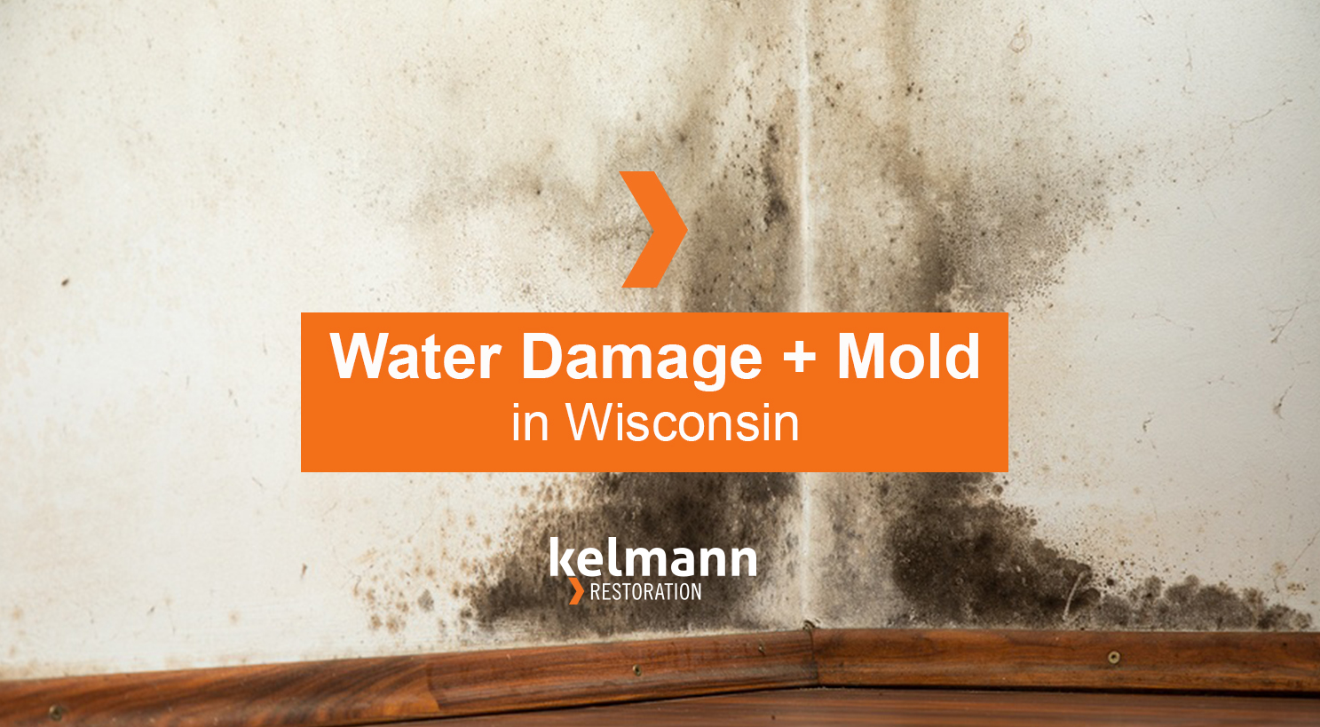 Water & Mold: What You Need to Know | Kelmann Restoration